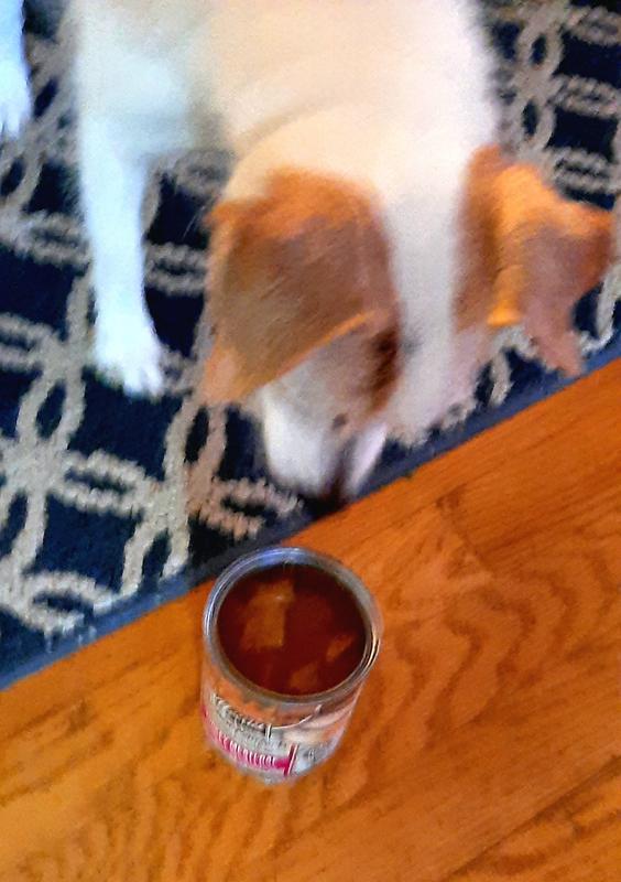 MERRICK Kitchen Comforts Healthy Grains Turkey Meatloaf with Brown Rice ...