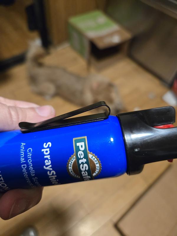 PETSAFE Spray Shield Animal Deterrent Spray - Chewy.com