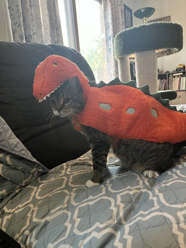 FRISCO Furry Dinosaur Dog & Cat Costume, XX-Large - Chewy.com
