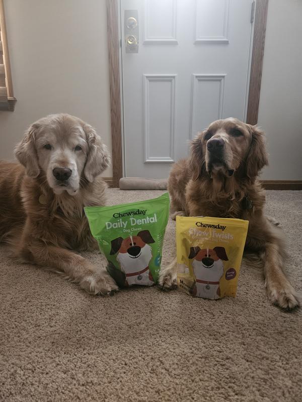 Backorder - CHEWSDAY Minty Fresh Daily Dental Dog Dental Treats, 28 ...