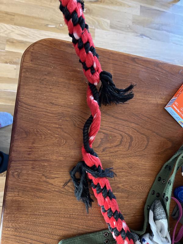 KONG Signature Mega Dual Knot Tug Rope Dog Toy - Chewy.com