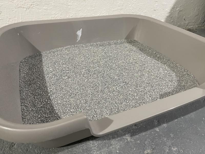 FRISCO Senior and Kitten Cat Litter Box, 24-in - Chewy.com