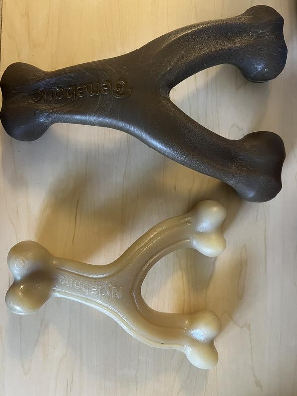 NYLABONE The Box Chew Toy & Treat Gift Box for Large Dogs - Chewy.com