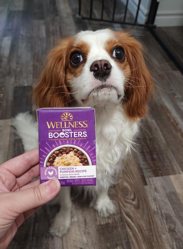 WELLNESS Bowl Boosters Hearty Toppers Chicken Wet Dog Toppers, 5.5-oz ...