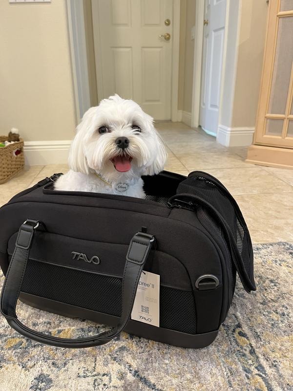 TAVO PETS Dupree II Airline Carry-On Dog & Cat Car Seat, Merle - Chewy.com
