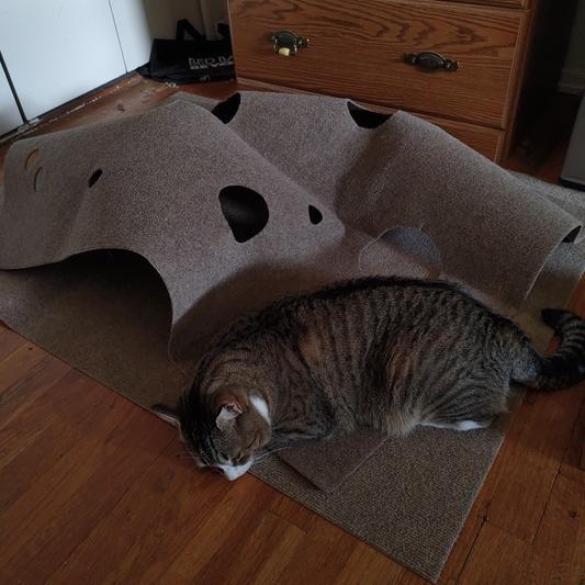 SNUGGLYCAT Ripple Rug Cat Activity Play Mat - Chewy.com