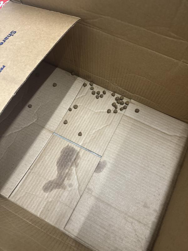 SPORTMIX CanineX Performance Chicken Formula Dry Dog Food, 40-lb bag ...