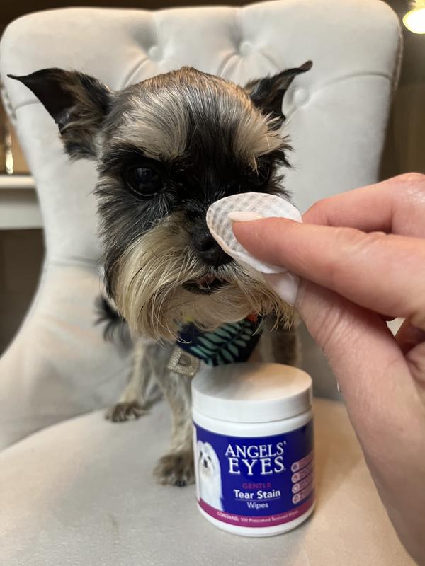 ANGELS' EYES Face Eye & Paw Cleansing & Tear Stain Wipe for Dogs & Cats ...