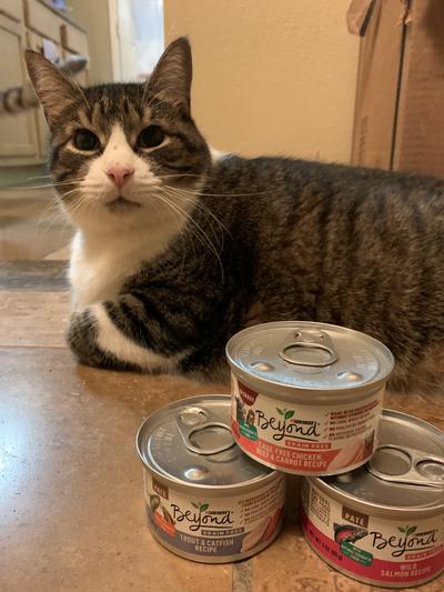 PURINA BEYOND Grain-Free Trout & Catfish Pate Recipe Canned Cat Food, 3 ...