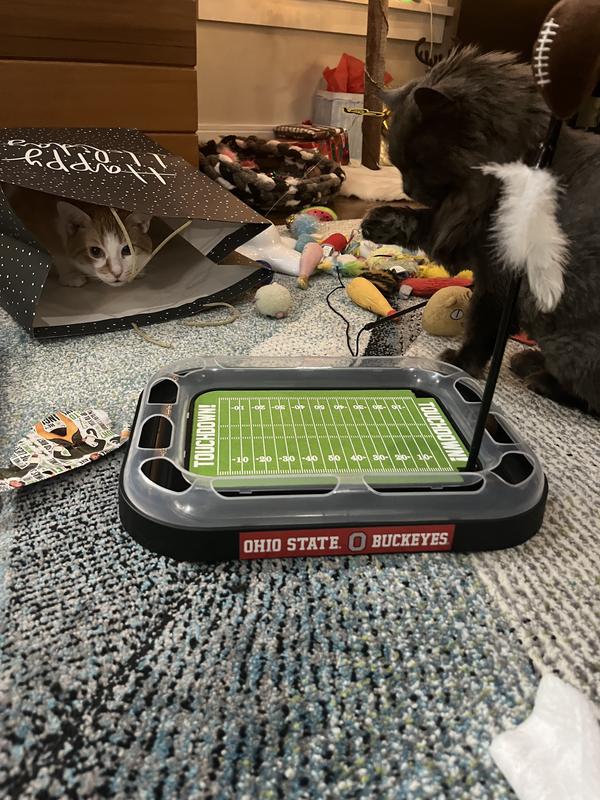 PETS FIRST NFL Football Field Cat Scratcher Toy with Catnip, Chicago ...