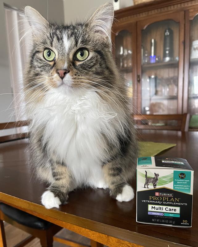 PURINA PRO PLAN VETERINARY DIETS Multi Care Powdered Supplement for ...