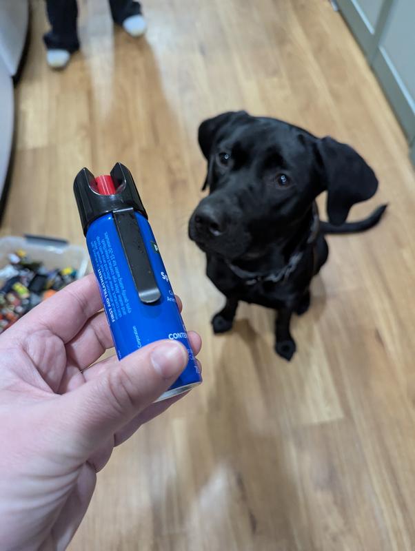 Out of Stock - PETSAFE Spray Shield Animal Deterrent Spray - Chewy.com