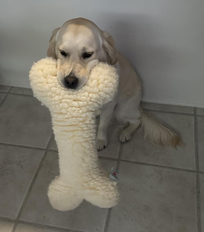 HUGGLEHOUNDS Huggle Fleece Bone Dog Toy, X-Large - Chewy.com