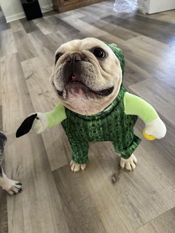 FRISCO Front Walking "Pickle" Ball with Adjustable Inseam Dog & Cat ...