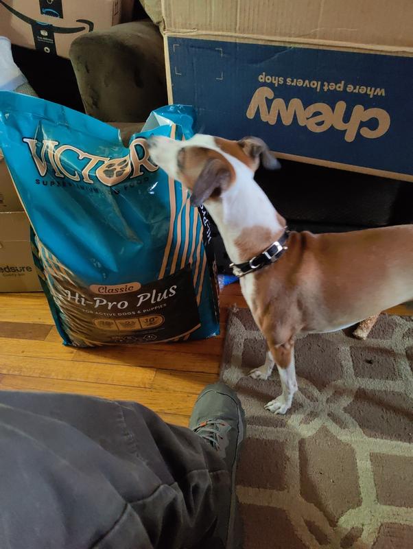 Pro Plus Dog Food Reviews Flash Sales | centralcountiesservices.org