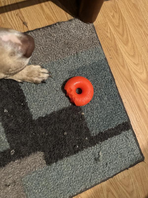 RUFF DAWG Indestructible Dawg Nut Tough Dog Chew Toy, Color Varies, X ...