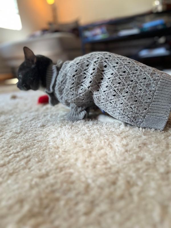 FRISCO Ruffle Knit Pointelle Dog & Cat Turtleneck Sweater, Gray, X ...