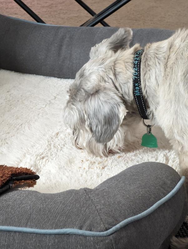 SUNGROW Boredom & Separation Anxiety Relief Stimulation Treat ...