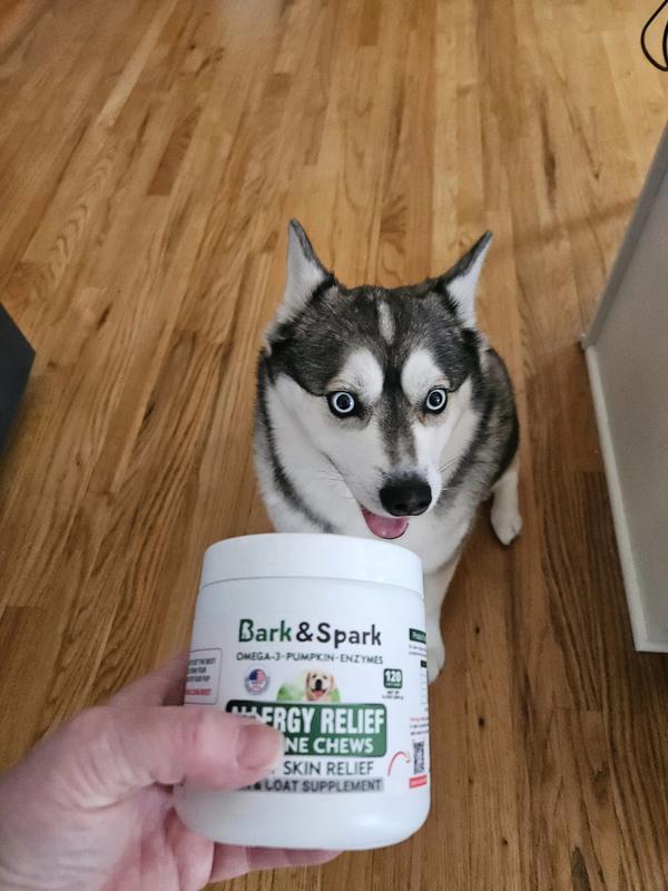 BARK&SPARK Allergy Relief Immune Dog Treats Supplement, 240 count ...