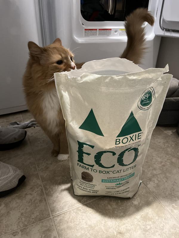 BOXIECAT Eco Farm to Box Premium Ultra Sustainable Clumping Cat Litter ...