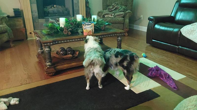 BIL-JAC YappleNanas Apple & Banana Flavor Soft Dog Treats, 4-oz bag ...