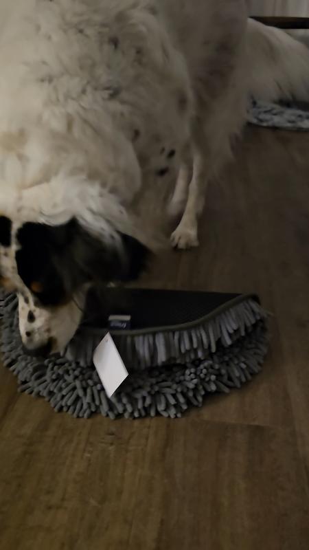 FRISCO Snuffle Mat, Grey - Chewy.com
