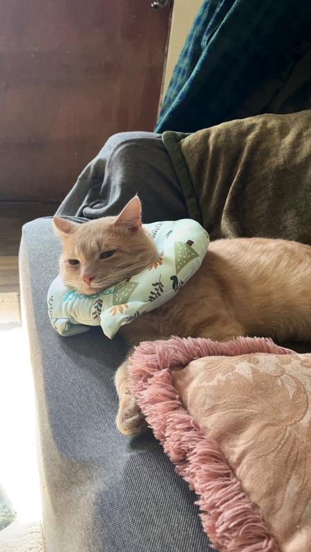 TOUCHCAT Ringlet Licking & Scratching Adjustable Pillow Cat Neck ...