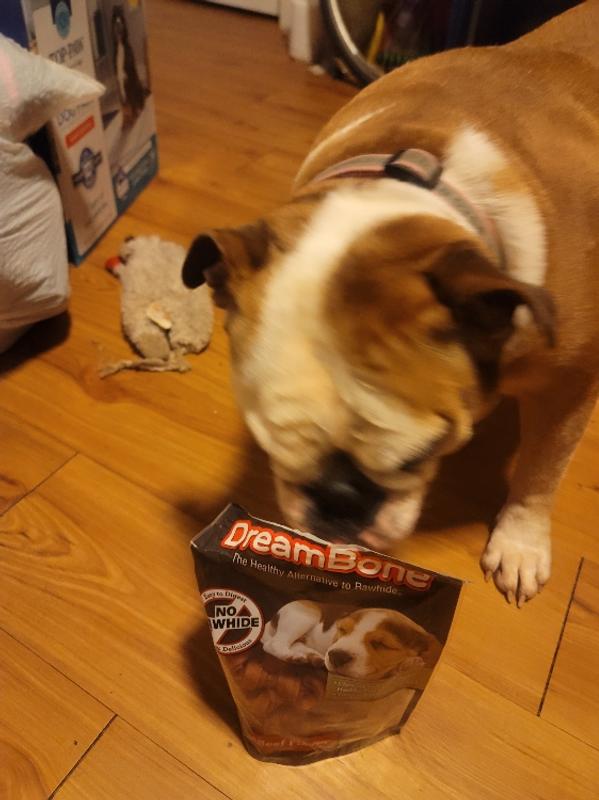 DREAMBONE Mini Beef Chew Bones Dog Treats, 48 count - Chewy.com