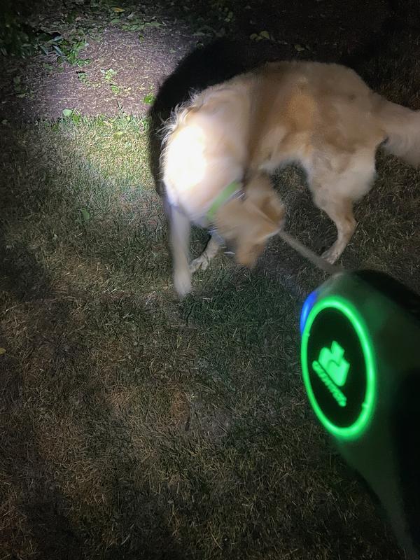 GROOVYPETS LED Flashlight Color Streamer Ring Nylon Retractable Dog ...