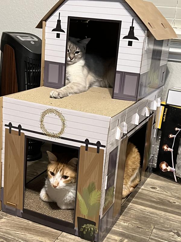FRISCO Farmhouse Cardboard Cat House, 2-Story - Chewy.com