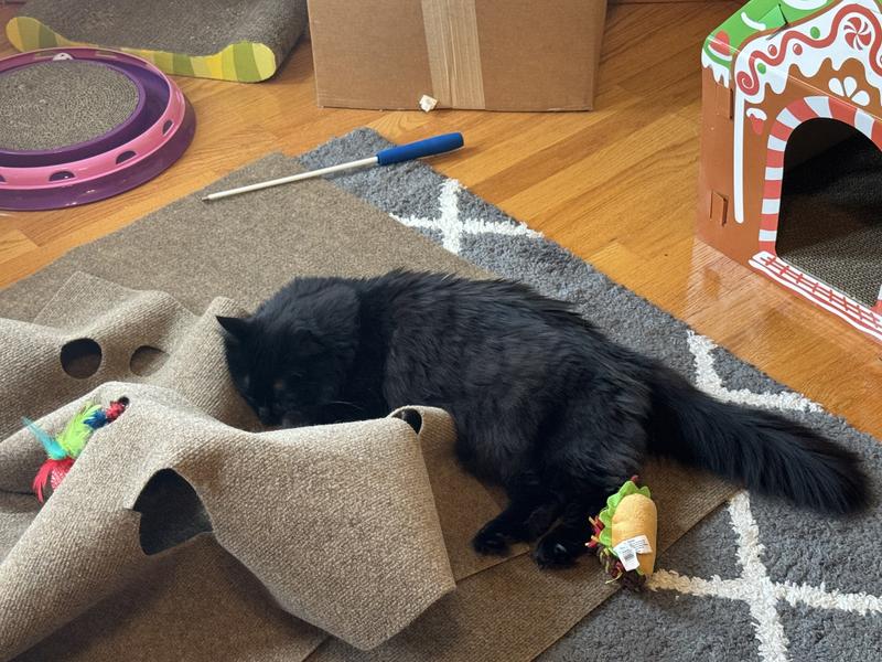 SNUGGLYCAT Ripple Rug Cat Activity Play Mat, Oatmeal White - Chewy.com