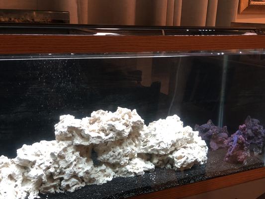 CARIBSEA LifeRock Nano Arch Aquarium Rock, 1 count - Chewy.com