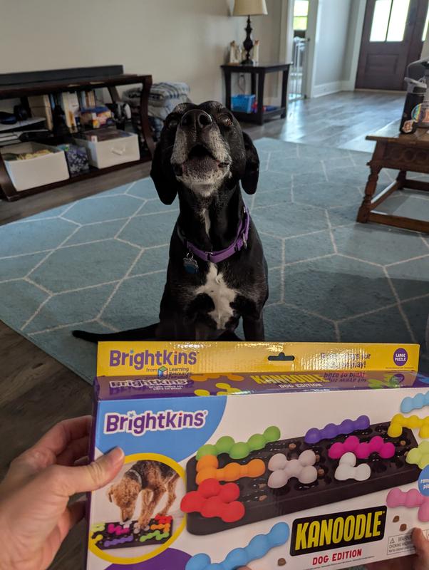 BRIGHTKINS Kanoodle Puzzle Dog Toy, Small - Chewy.com