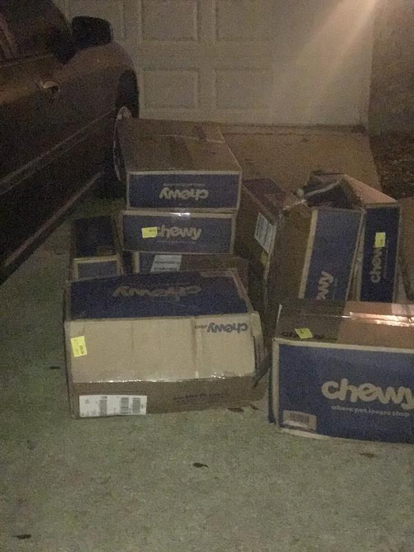 New Version Available - DR. ELSEY'S Precious Cat Ultra Unscented ...