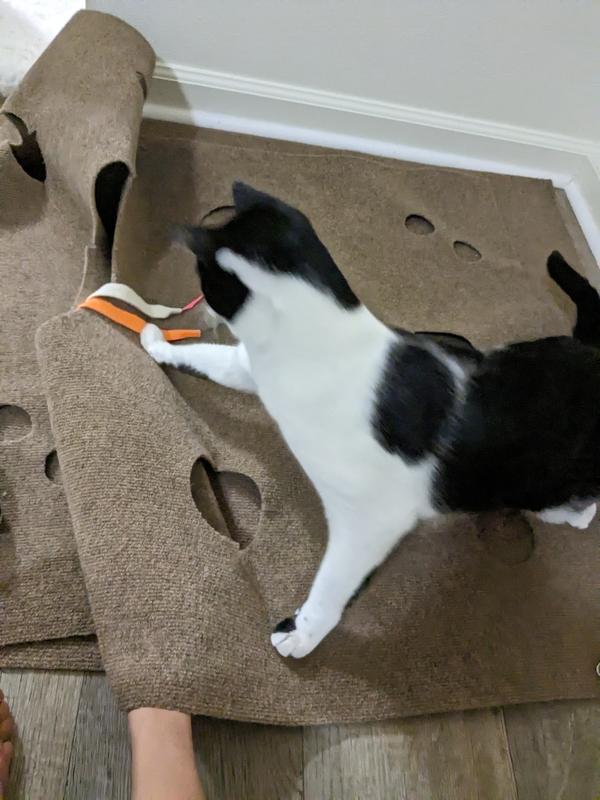 SNUGGLYCAT Ripple Rug Cat Activity Play Mat - Chewy.com