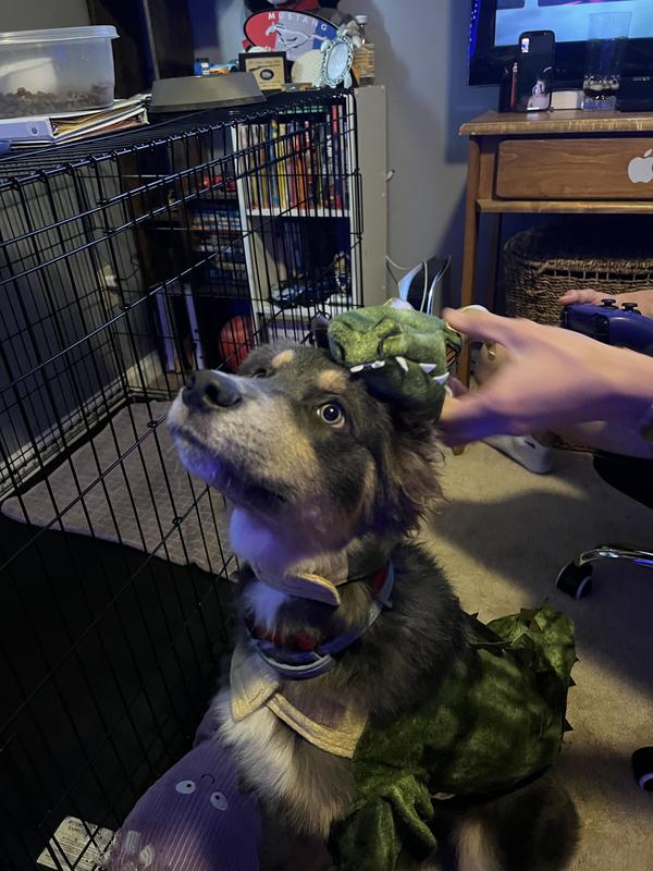 Discontinued - MARVEL 's Loki Alligator Dog & Cat Costume, X-Small ...