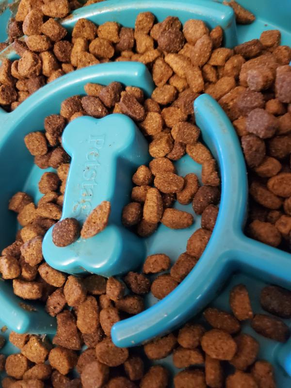 IAMS Advanced Health Skin & Coat Chicken & Salmon Recipe Adult Dry Dog ...