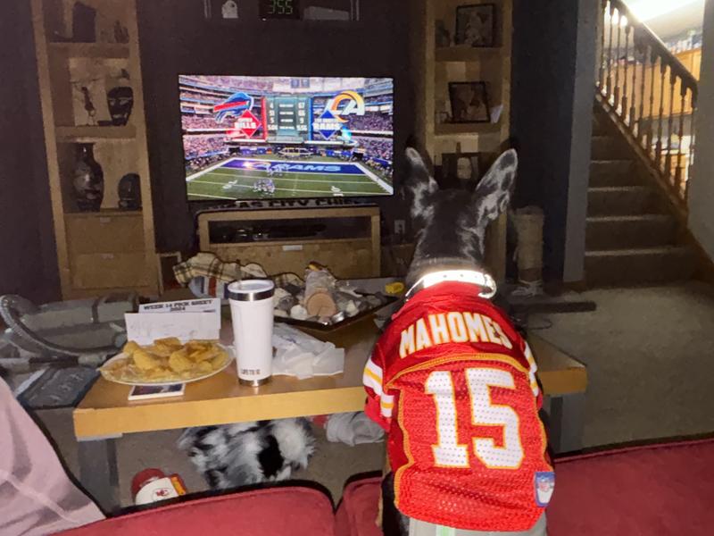 PETS FIRST NFLPA Dog & Cat Jersey, Patrick Mahomes, Large - Chewy.com