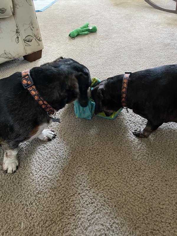 OUTWARD HOUND Silly Legz Interactive Plush Puzzle Dog Toy - Chewy.com