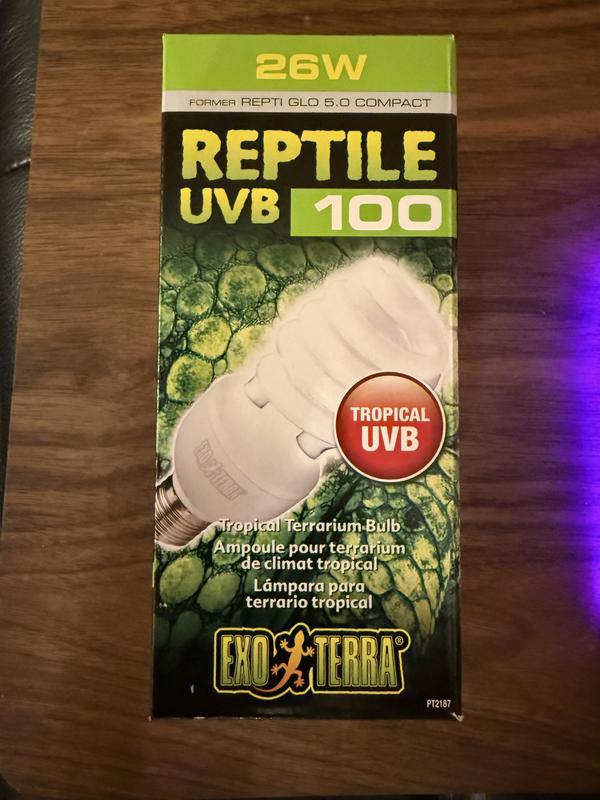 EXO TERRA Tropical UVB 100 Reptile Bulb, 13-w - Chewy.com