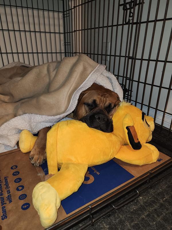 DISNEY Simba Jumbo Plush Squeaky Dog Toy - Chewy.com