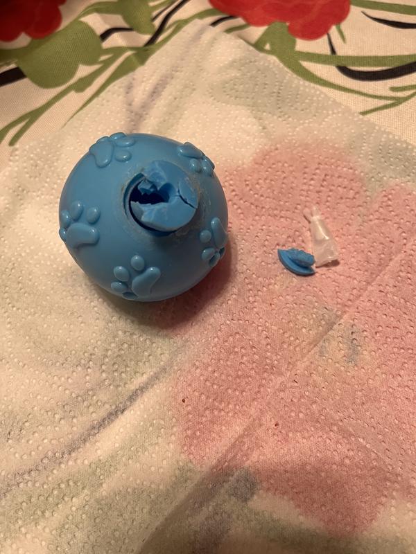 FRISCO Small Breed Puppies Rope & TPR Variety Pack Puppy Toy, 18 count ...