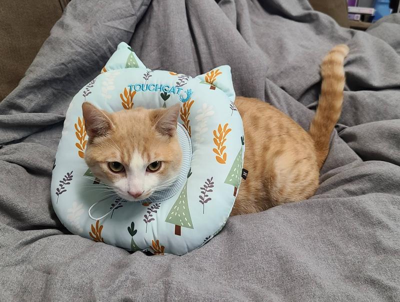 TOUCHCAT Ringlet Licking & Scratching Adjustable Pillow Cat Neck ...