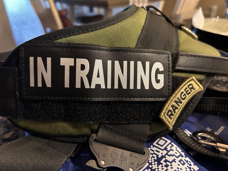 INDUSTRIAL PUPPY Dog In Training Patches, 2 count, X-small - Chewy.com