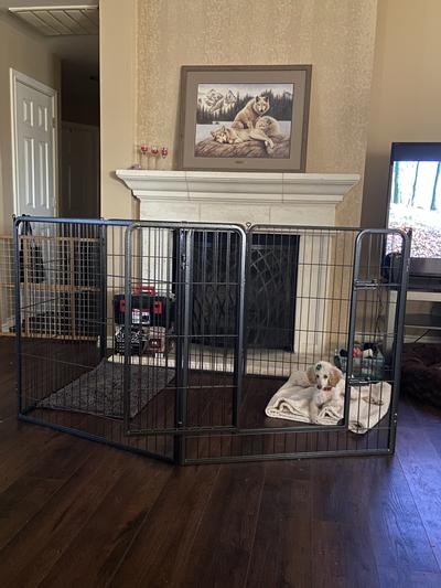 FRISCO Ultimate Heavy Duty Steel Metal Playpen, 2 count - Chewy.com