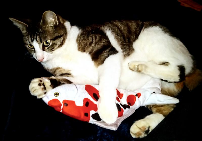 PET FIT FOR LIFE Floppy Fish Cat Toy, Multicolor, Medium, 2 count ...