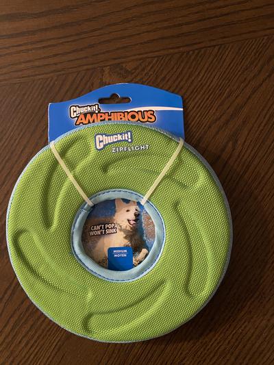 CHUCKIT! Zipflight Disc Dog Toy, Color Varies, Small - Chewy.com