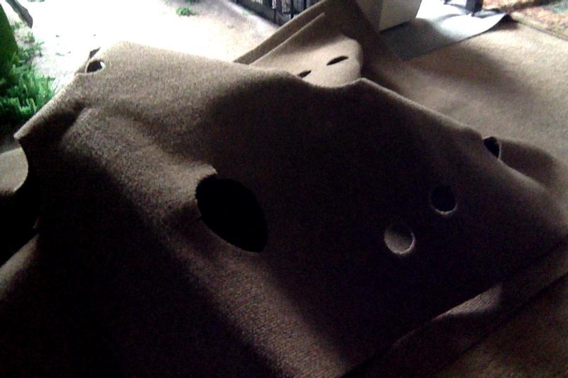 SNUGGLYCAT Ripple Rug Cat Activity Play Mat - Chewy.com