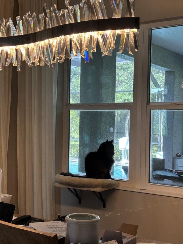 FRISCO Plush Cat Window Perch with Removable Bolster - Chewy.com