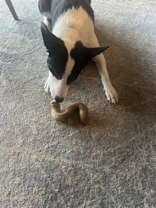 BENEBONE Tripe Bone Tough Dog Chew Toy, Brown, Large - Chewy.com